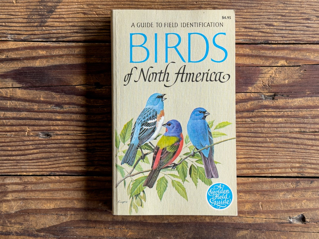 Vintage Book - Birds of North America - 1966 - Golden Field Guide - Etsy
