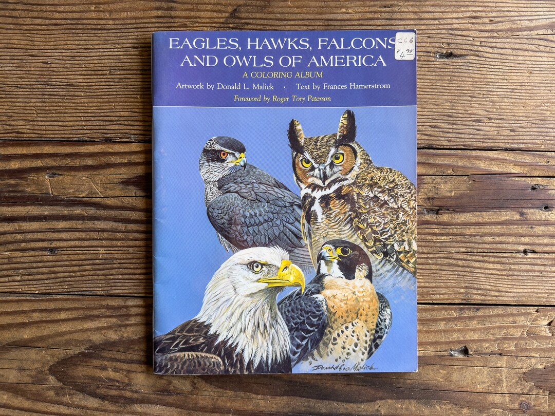 Vintage Coloring Book Eagles Hawks Falcons and Owls of - Etsy