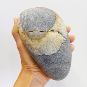 Rare Big Wishing Stone With Natural Formed White Circle Line Lucky ...