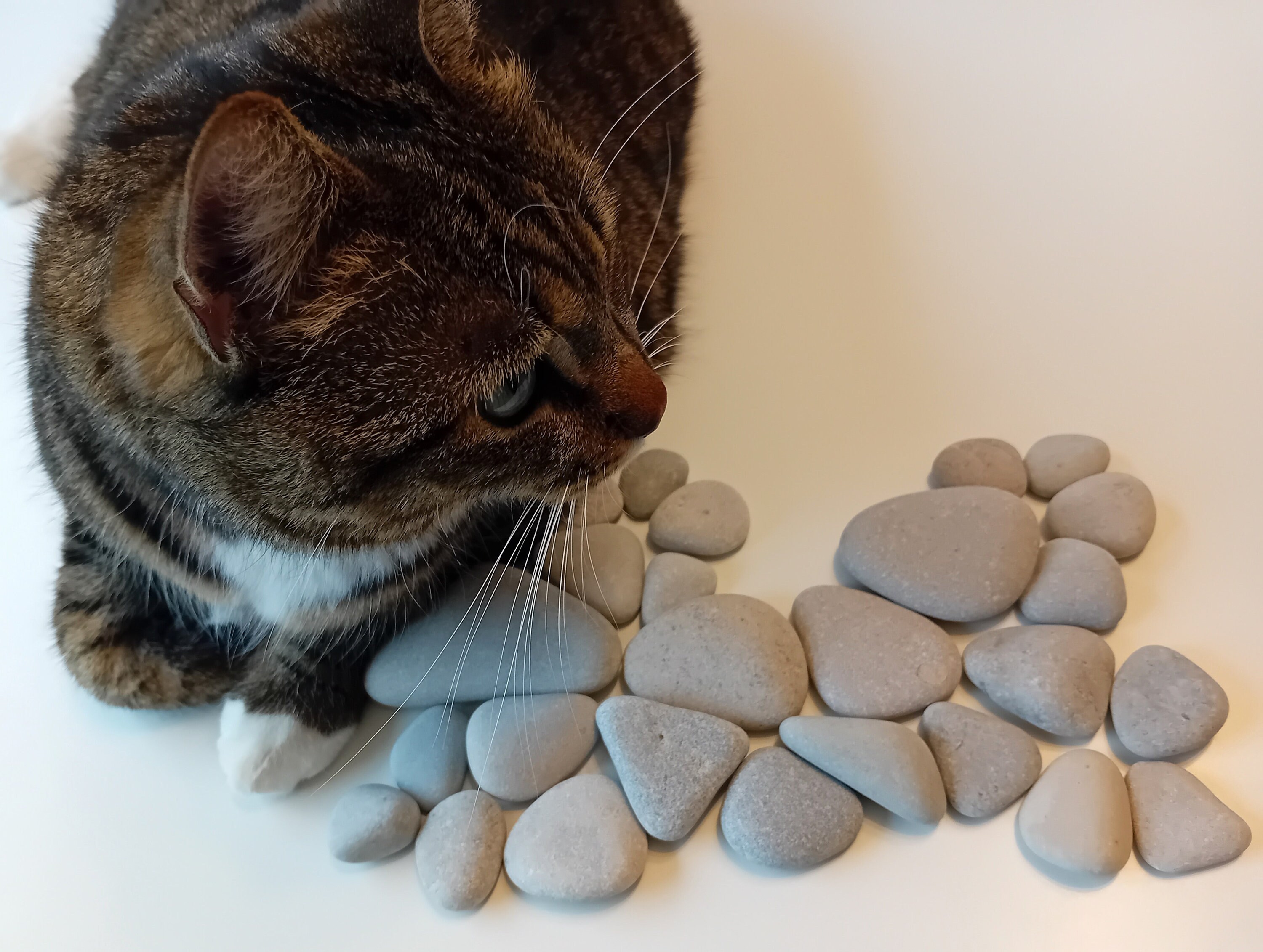 Set of 26 Pcs Flat Decorative Triangle Stones Pebble Art Supplies ...