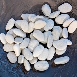 Rare Set of 50 Pcs Small Oval Flat Form Pebbles Stones for Art Supplies ...