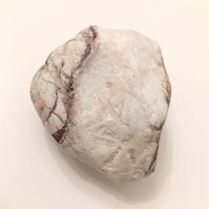 Rare White Quartz Stone With Natural Formed Artistic Lines Pebble Art ...