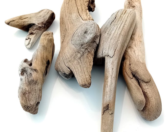 Rare Set of Five Driftwoods for Craft Raw Natural Wood Decors Craft ...