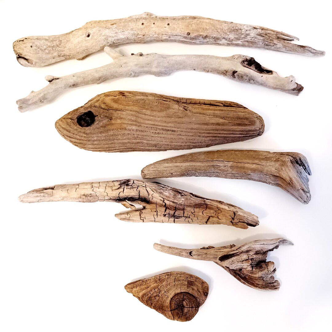 Set of Seven Pcs Driftwoods for Craft Raw Natural Wood Decors Craft ...