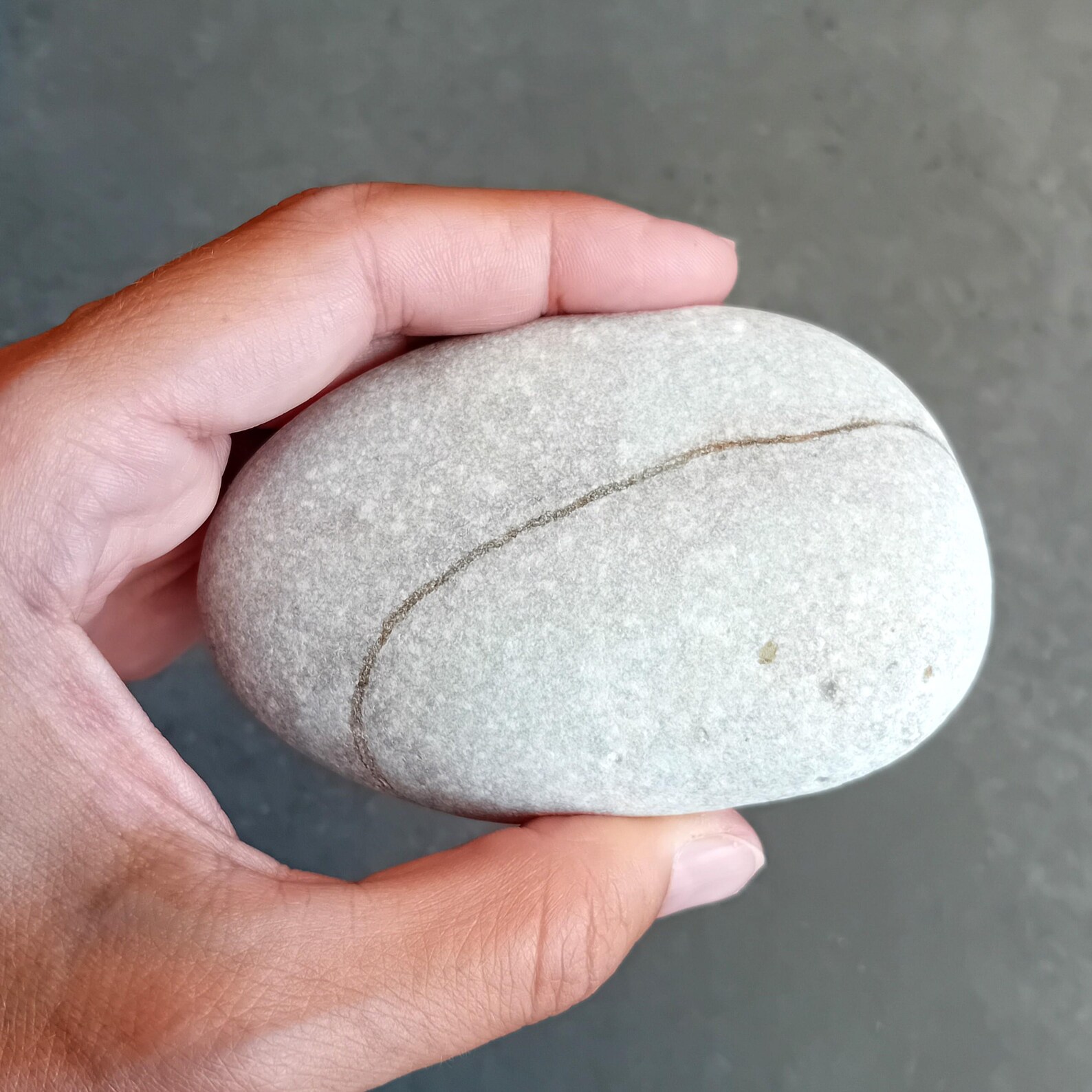 Rare White Quartz Decorative Sea Stone With Tinny Grey Line Sustainable ...