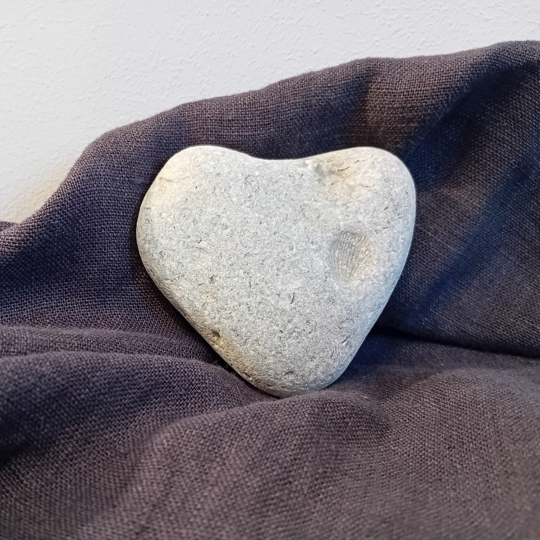 Unique Heart Form Stone With Shell Impression Inside Pebble Art ...