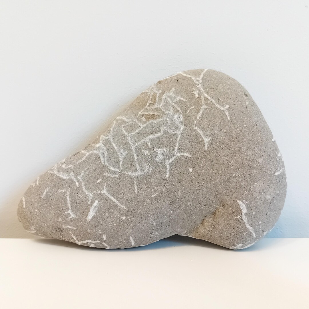 Rare Sea Stone With Chain Coral Fossil Inside Pebble Art Supplies ...