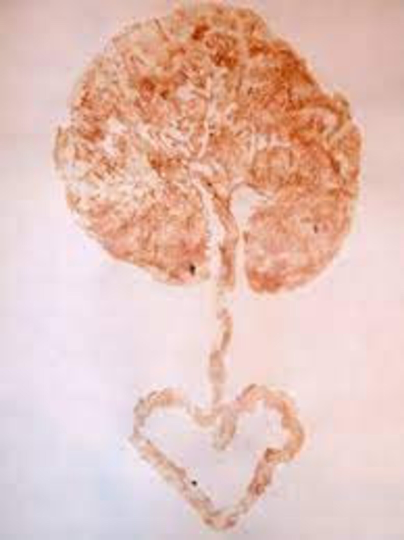Natural Placenta Print - Etsy