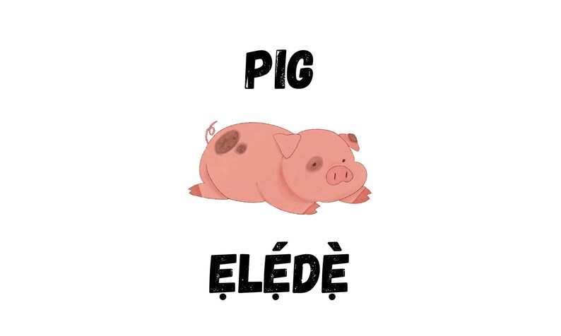 Animals Flashcards in Yoruba Language - Etsy