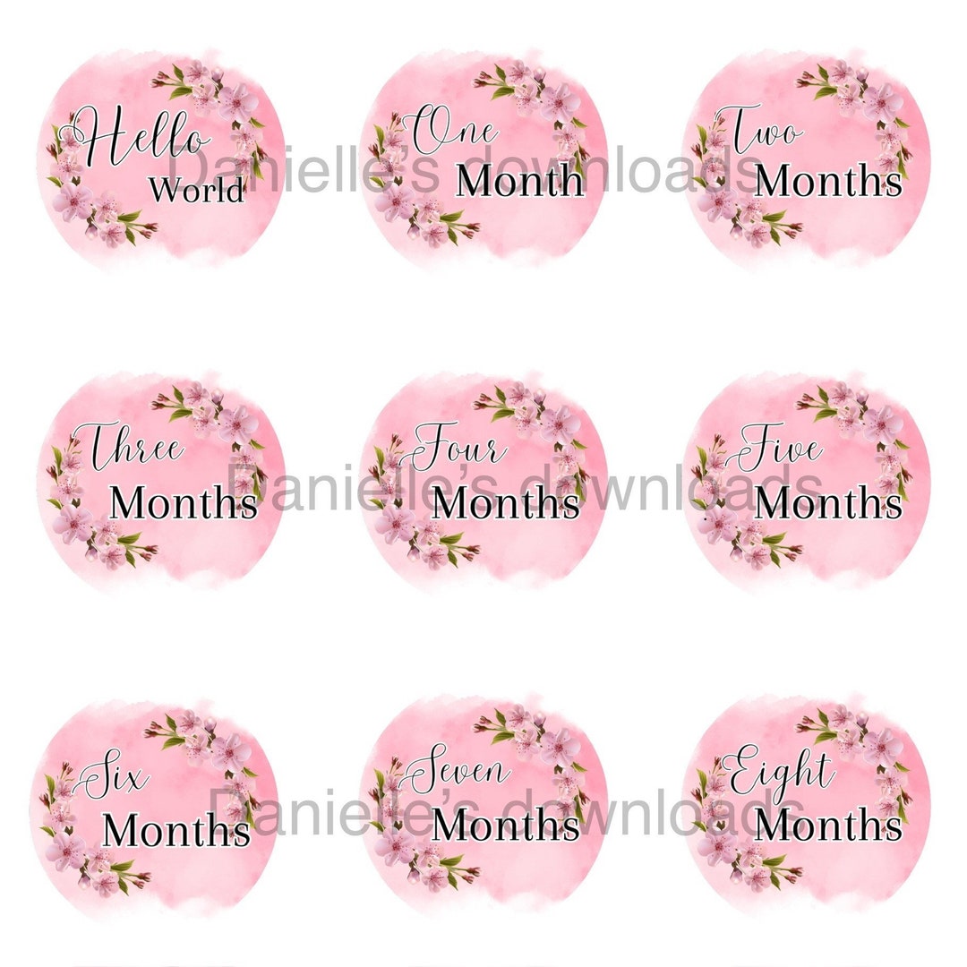 Pink and Blue Baby Milestone Discs Digital Download, 28 Pngs, Milestone ...