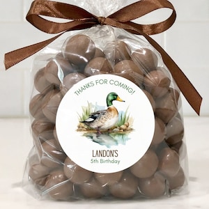 Mallard Duck Birthday Favor Labels, Thank You Stickers, Duck Hunting ...