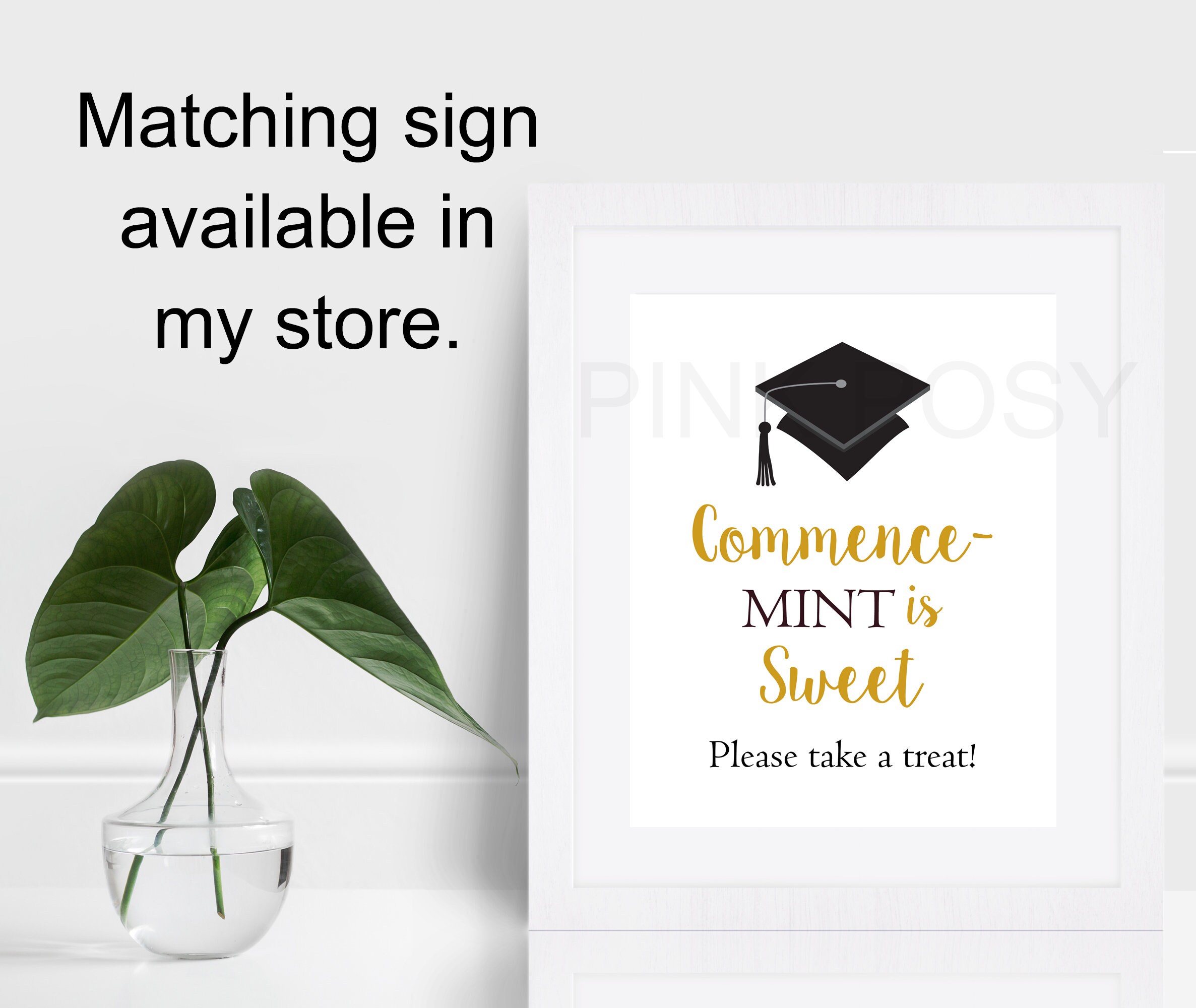 Editable Graduation Mint Favors Class of 2023 Custom Mints - Etsy