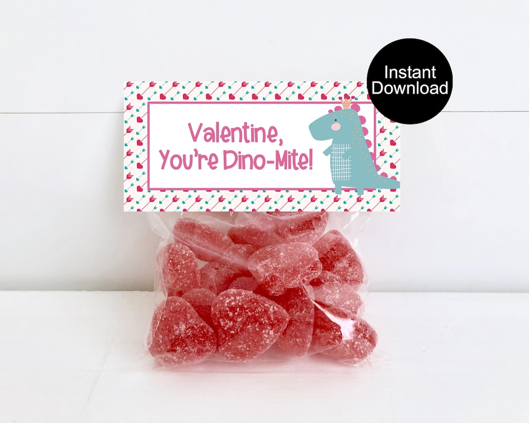 Valentine Treat Bag Toppers, Dinosaur Girl Bag Favors, Dinosaur Bag ...