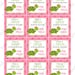 Editable Turtle Tags, End of School Year Tags, Classmate Gift Tags ...