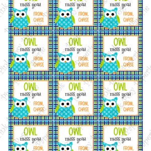 Editable Owl Miss You Tags, End of School Year Tags, Classmate Gift ...