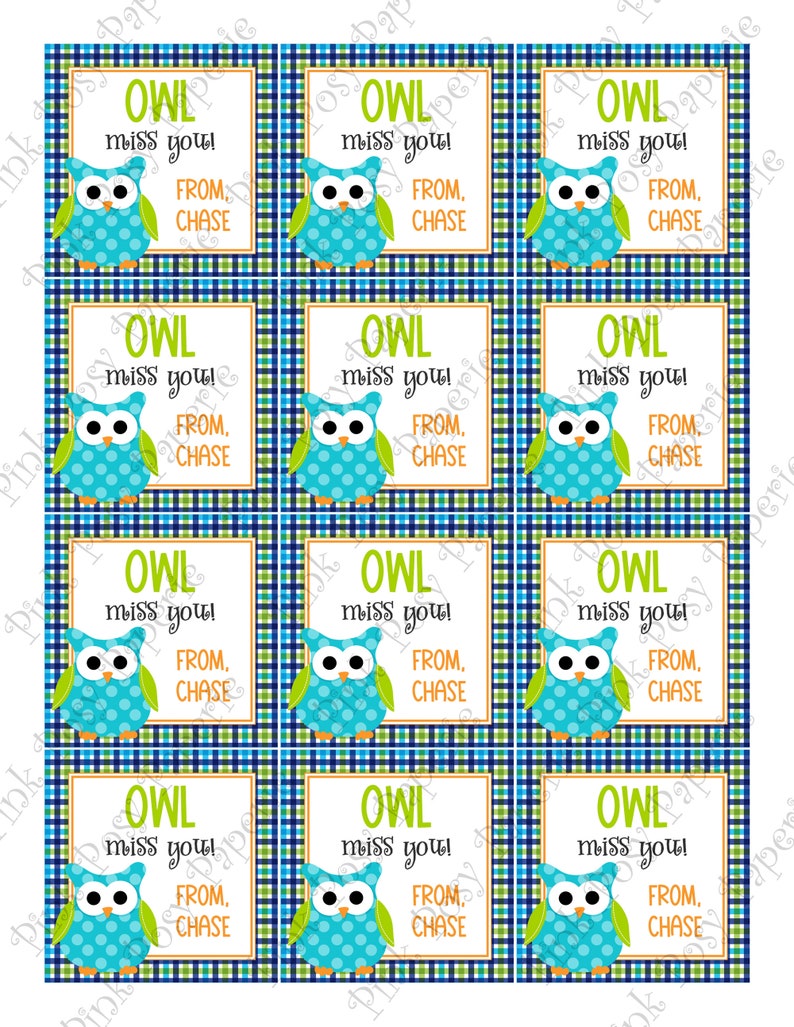 Editable Owl Miss You Tags, End of School Year Tags, Classmate Gift ...