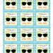 End of School Year Tags, Editable Sunglasses Tags, Classmate Gift Tags ...