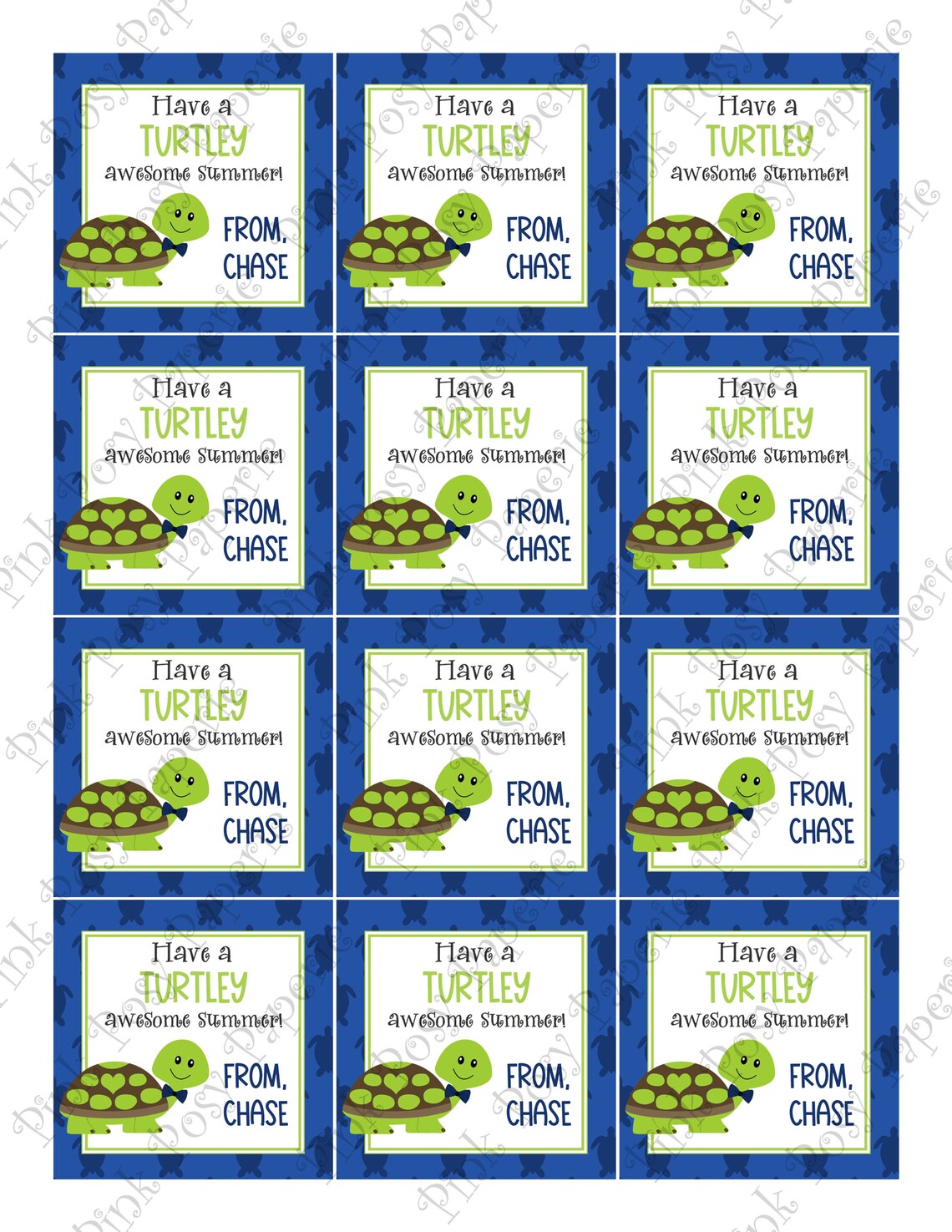 Editable Turtle Tags End of School Year Tags Classmate Gift - Etsy