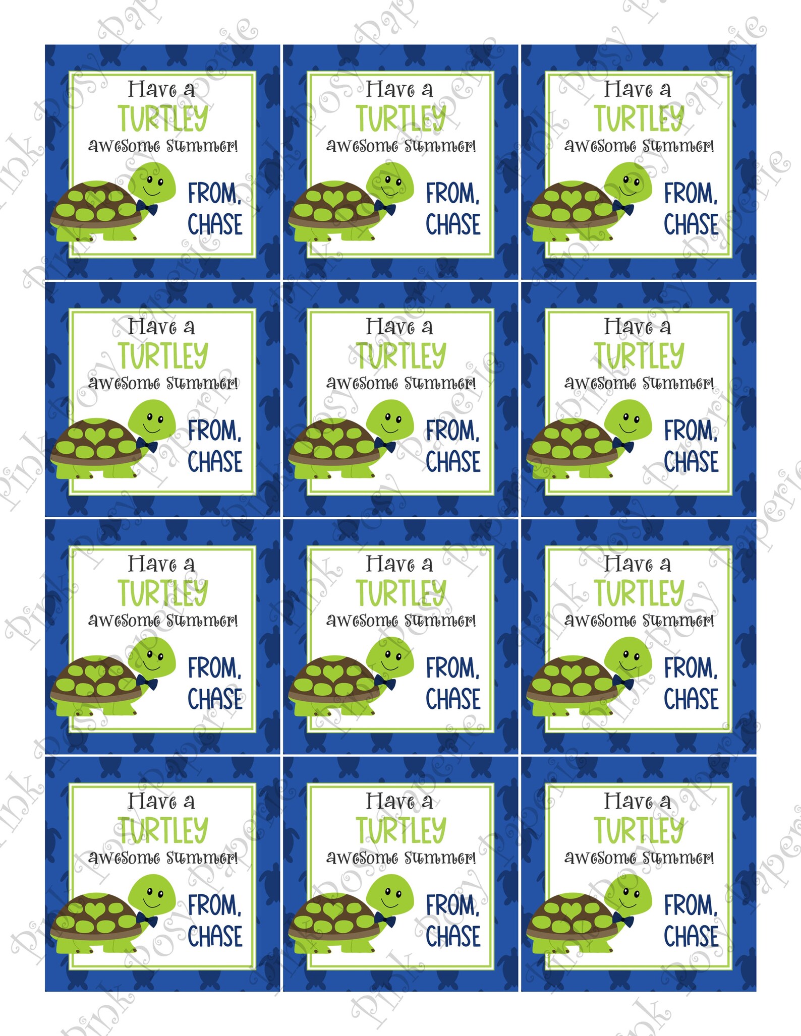 Editable Turtle Tags, End of School Year Tags, Classmate Gift Tags ...
