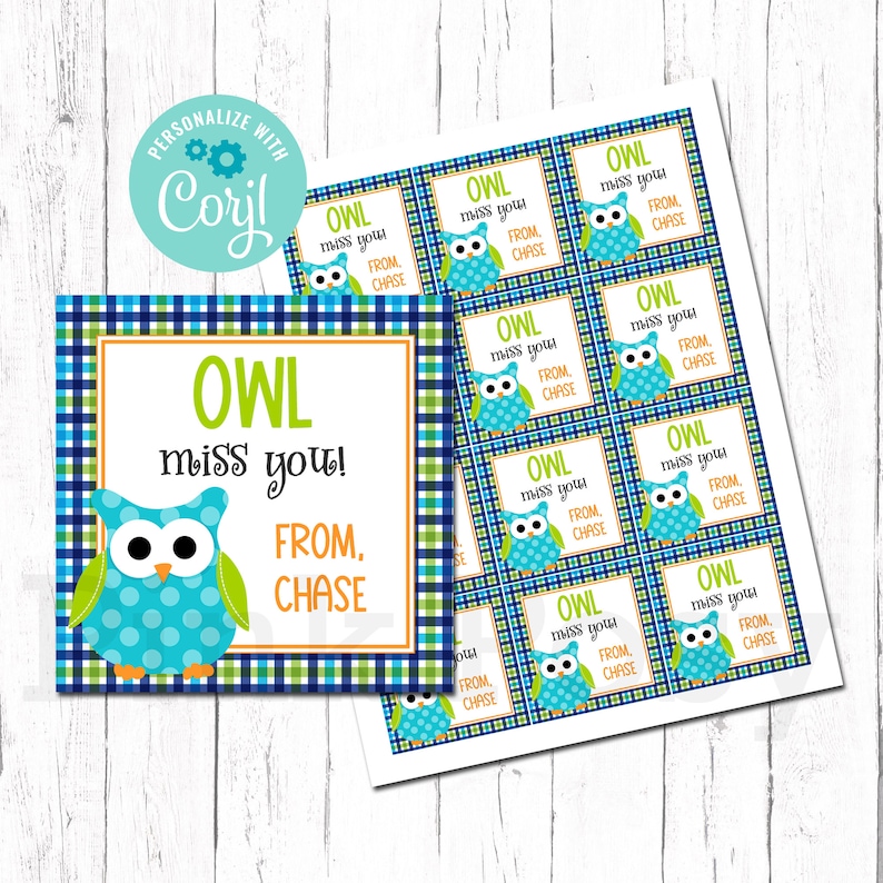 Editable Owl Miss You Tags, End of School Year Tags, Classmate Gift ...