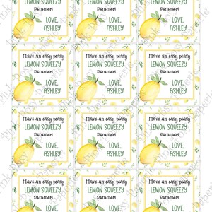 Editable Lemon Tags, Easy Peasy Lemon Squeezy, End of School Year Tags ...