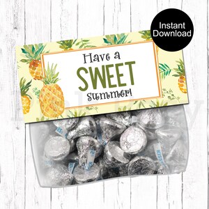 End of School Year Bag Toppers, Pineapple Treat Bag Favors, Sweet ...