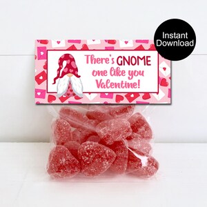 Valentine Treat Bag Toppers, Gnome Treat Bag Favors, Gnome Bag Toppers ...