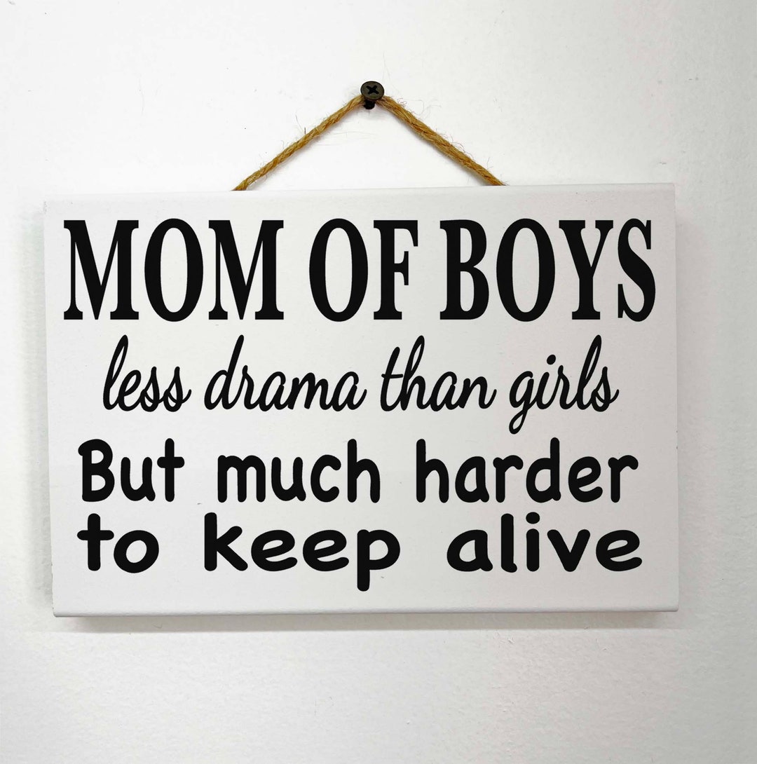 Mom of Boys Less Drama Than Girls but Much Harder to Keep Alive Sign ...