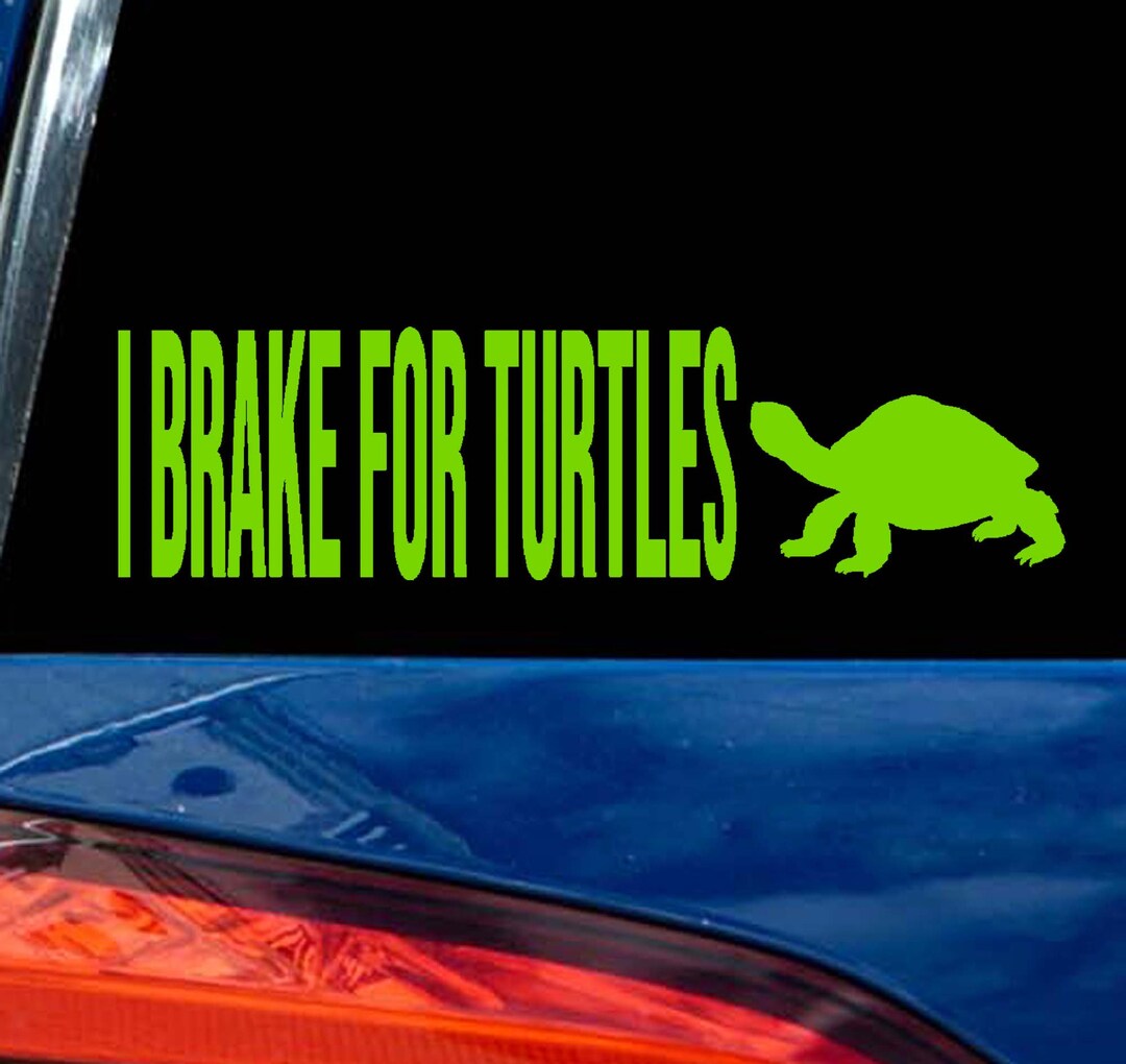 I Brake for Turtles Decal: Car Bumper Sticker, 65 Color Choices - Etsy