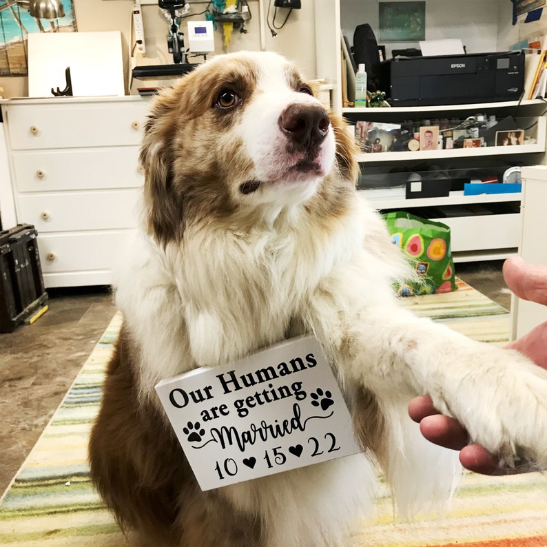 Caution Dog Has Licker License Sign Funny Pet Owner Gift - Etsy