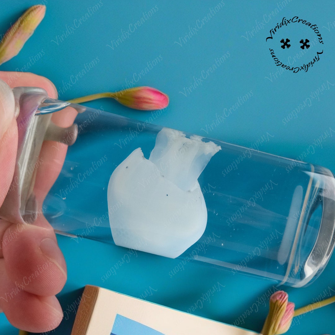 Jellyfish Specimens, Real Marine Life Collection, Natural Science, Long ...