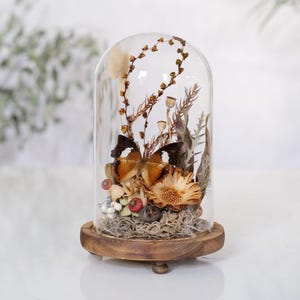 Real Butterfly Specimens in Glass, Home Decoration, Beautiful Butterfly ...