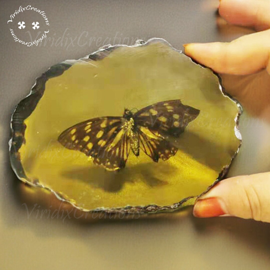 Resin Specimens, Vintage Resin Insect Specimens, Cicada Specimens ...