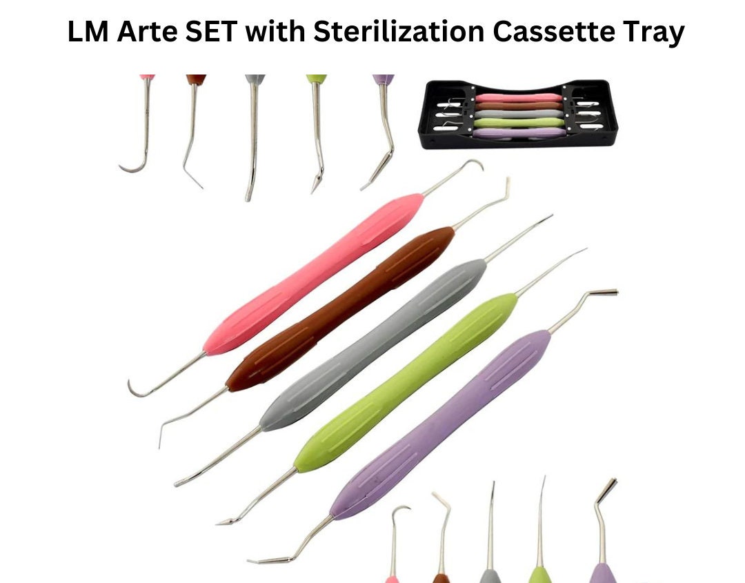 LM Arte SET of 5PCS Silicon Handle With Sterilization Cassette Tray - Etsy