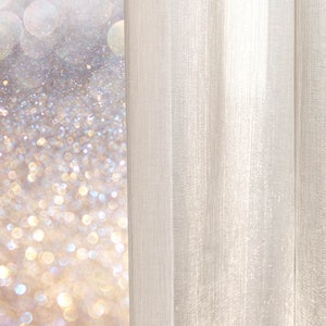 Shining Voile Sheer Curtain,natural Luxury Shining Gauze,window ...