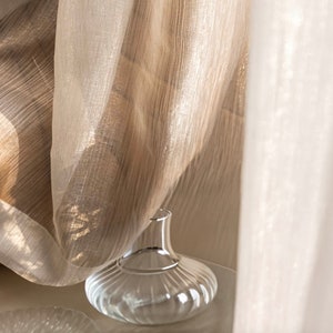 Shining Voile Sheer Curtain,natural Luxury Shining Gauze,window ...