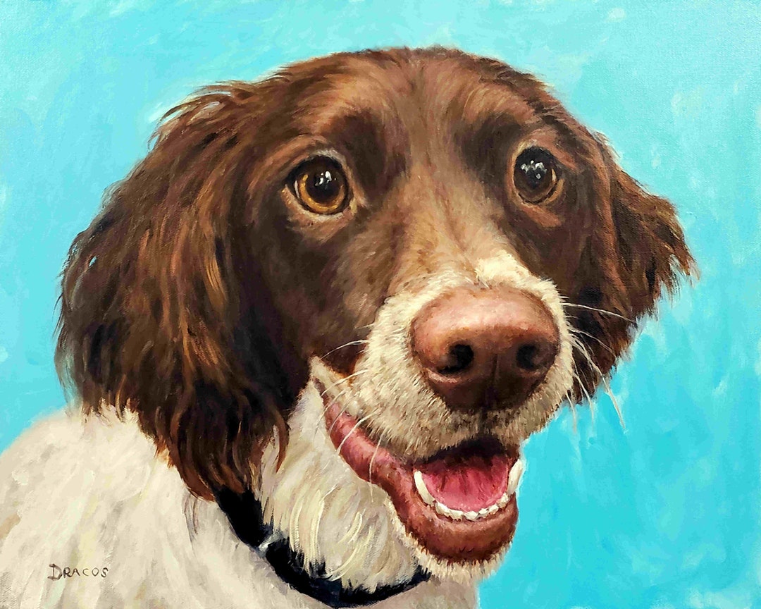 Dogs, Dog Art, Spaniels, Springer Spaniels, English Springer Spaniel ...