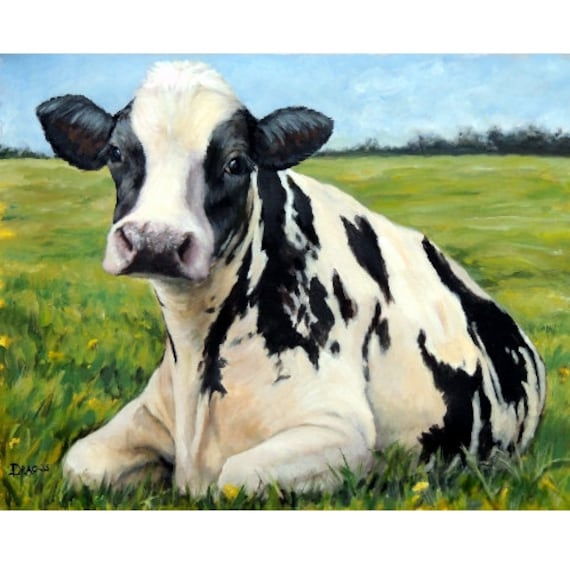 Holstein Dairy Cow Drawings