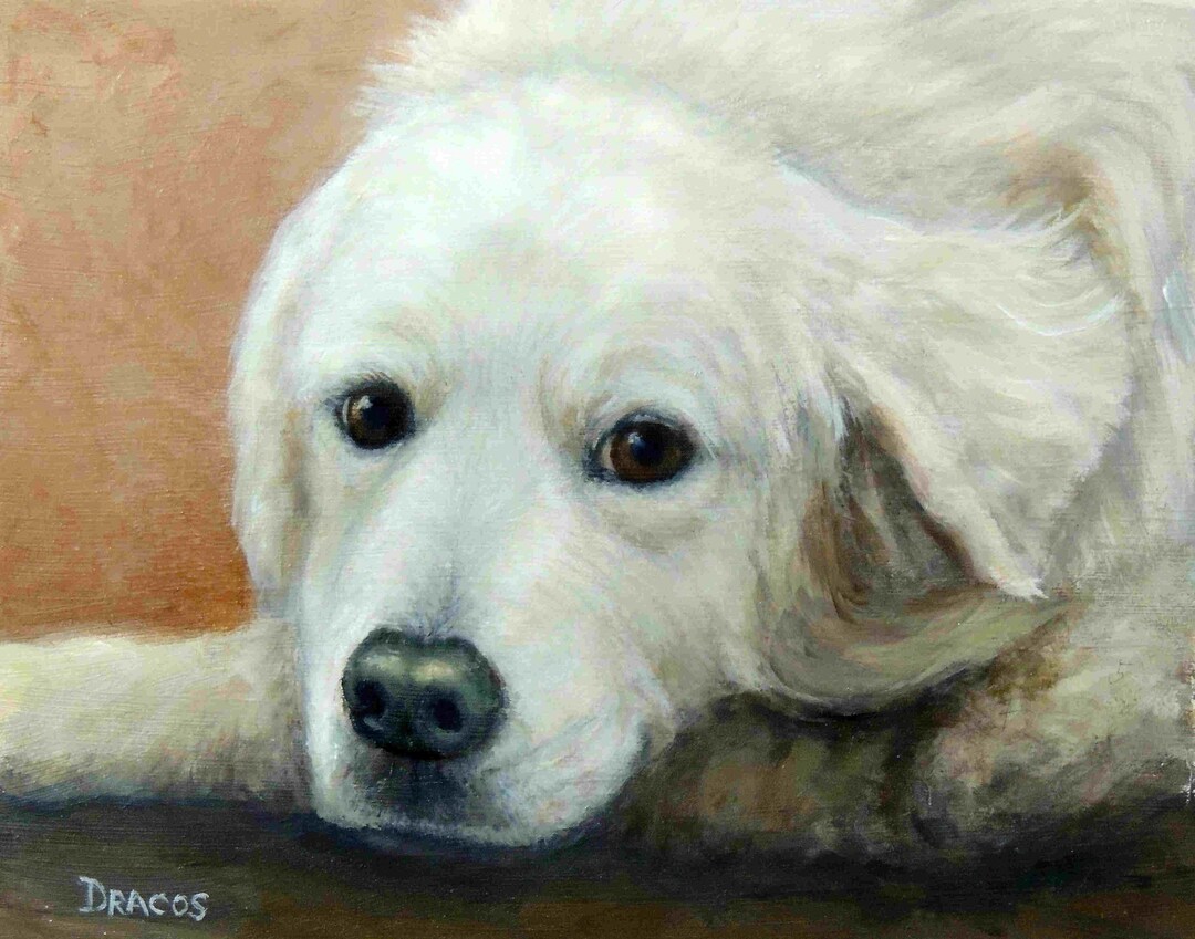 Great Pyrenees, Pyrenees Dog Art Print, White Dog, Herding Dog, Flock ...