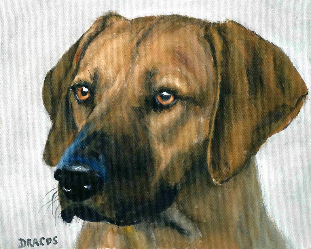 Dogs Rhodesian Ridgeback Art Print Original Painting by - Etsy