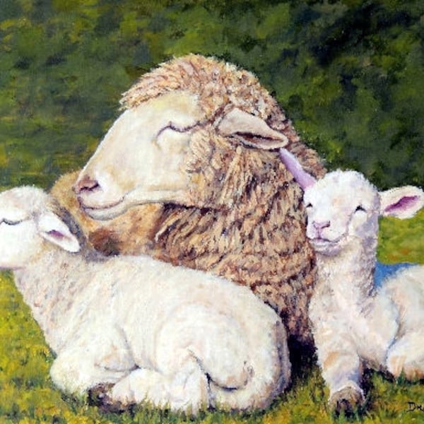 Lamb Art Print - Etsy