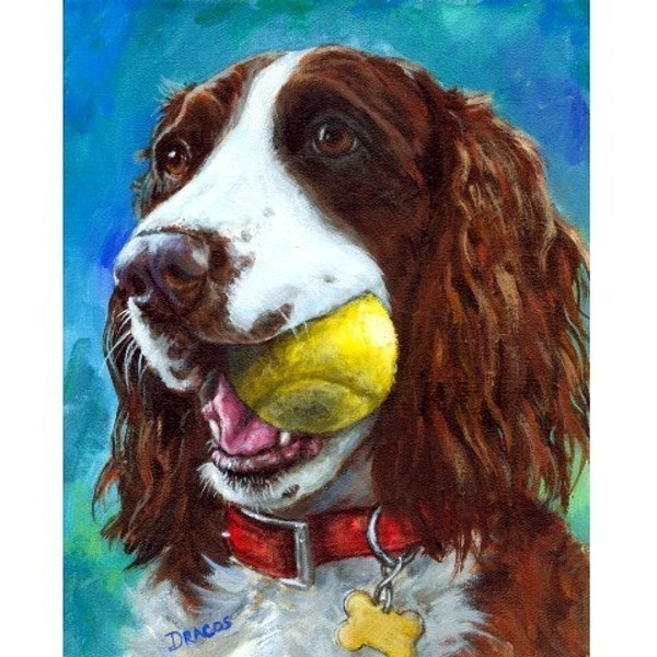 Springer Spaniel Art - Etsy