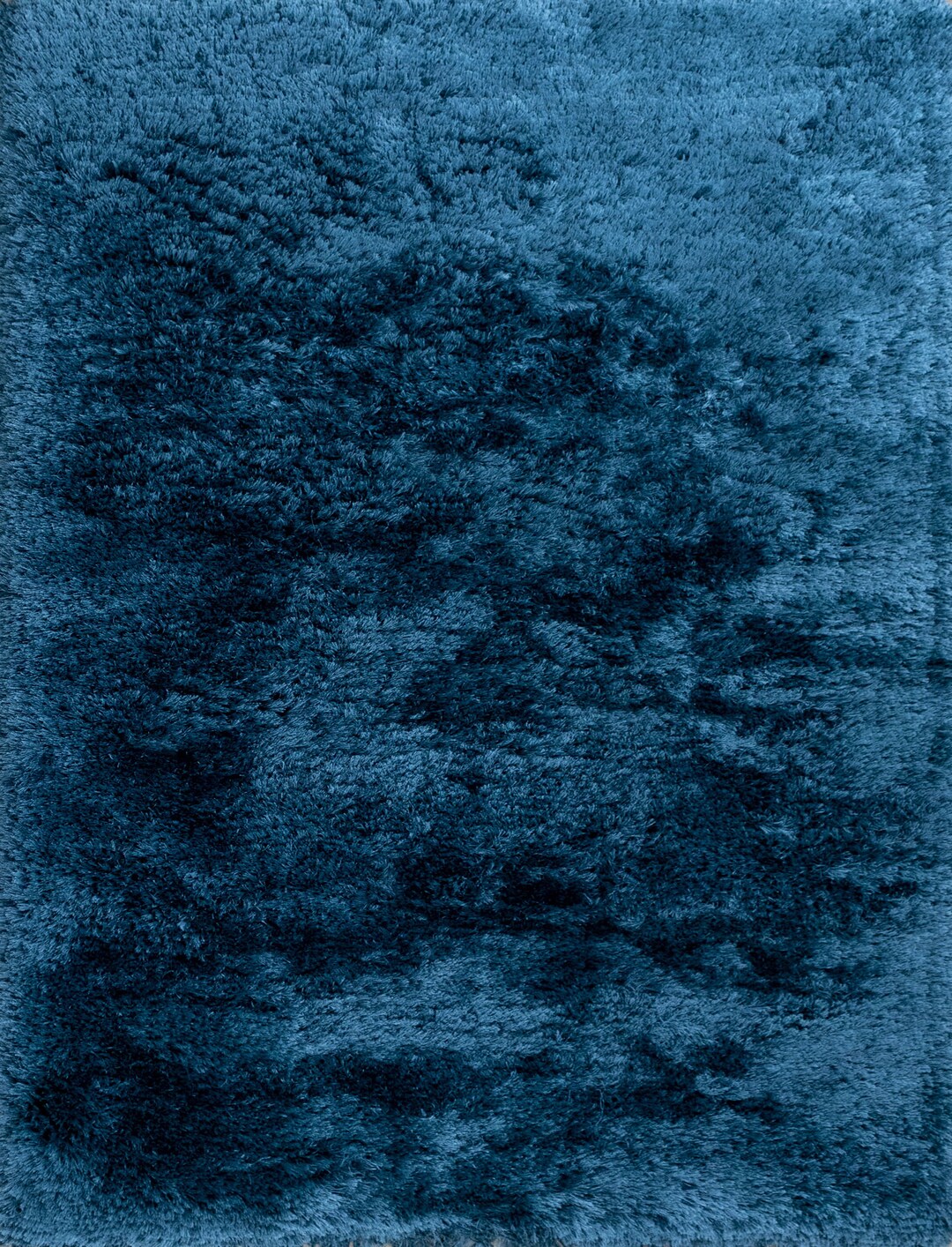 Plush Shag Polyester Hand Tufted Area Rug Teal Color For, Living and ...