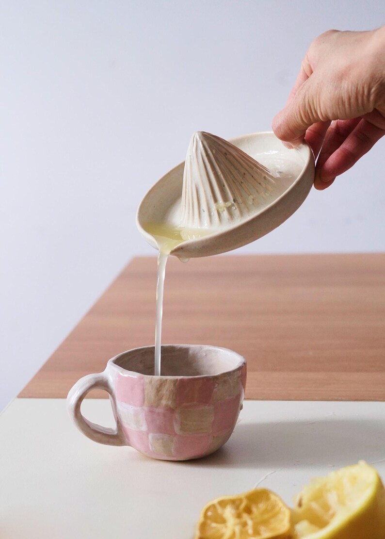 Hand Citrus Juicer, Manual Lemon Orange Squeezer, Ceramic Fruit Juicer ...