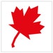 Maple Leaf FPP Quilt Block: Autumn Patchwork Pattern, 2 Sizes (PDF ...