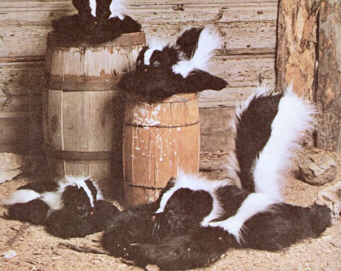Stuffed Skunks, Cuddle Buddy Sewing Pattern 775, Pat Hofstine UNCUT - Etsy