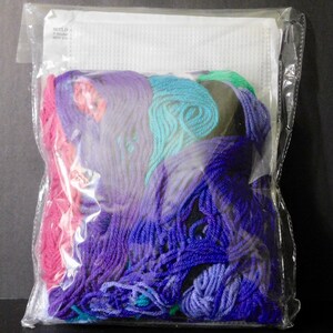 Butterfly Ballet Plastic Canvas Kit 20434 J & L Temptations Linda Ruck ...