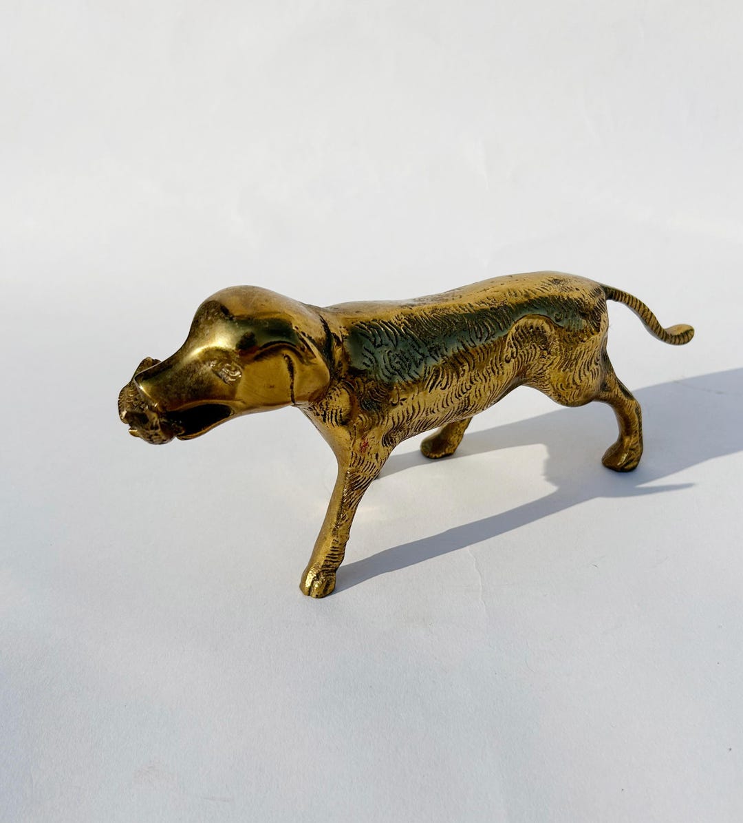 Rare Vintage Brass Hunting Dog Labrador With Fish - Etsy