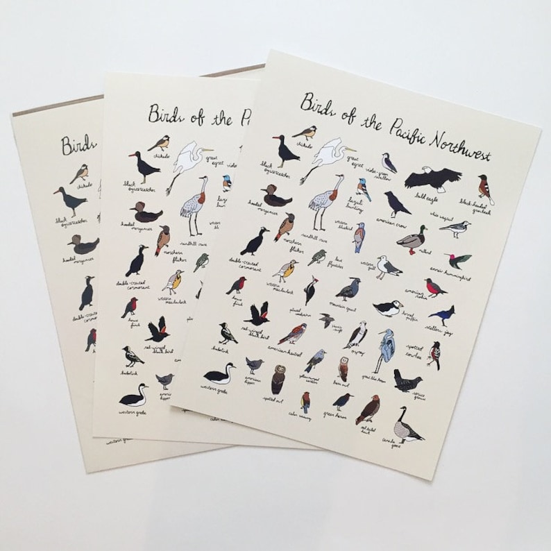 Birds of the Pacific Northwest Print - 9x12 or 11x17 Oregon Washington ...