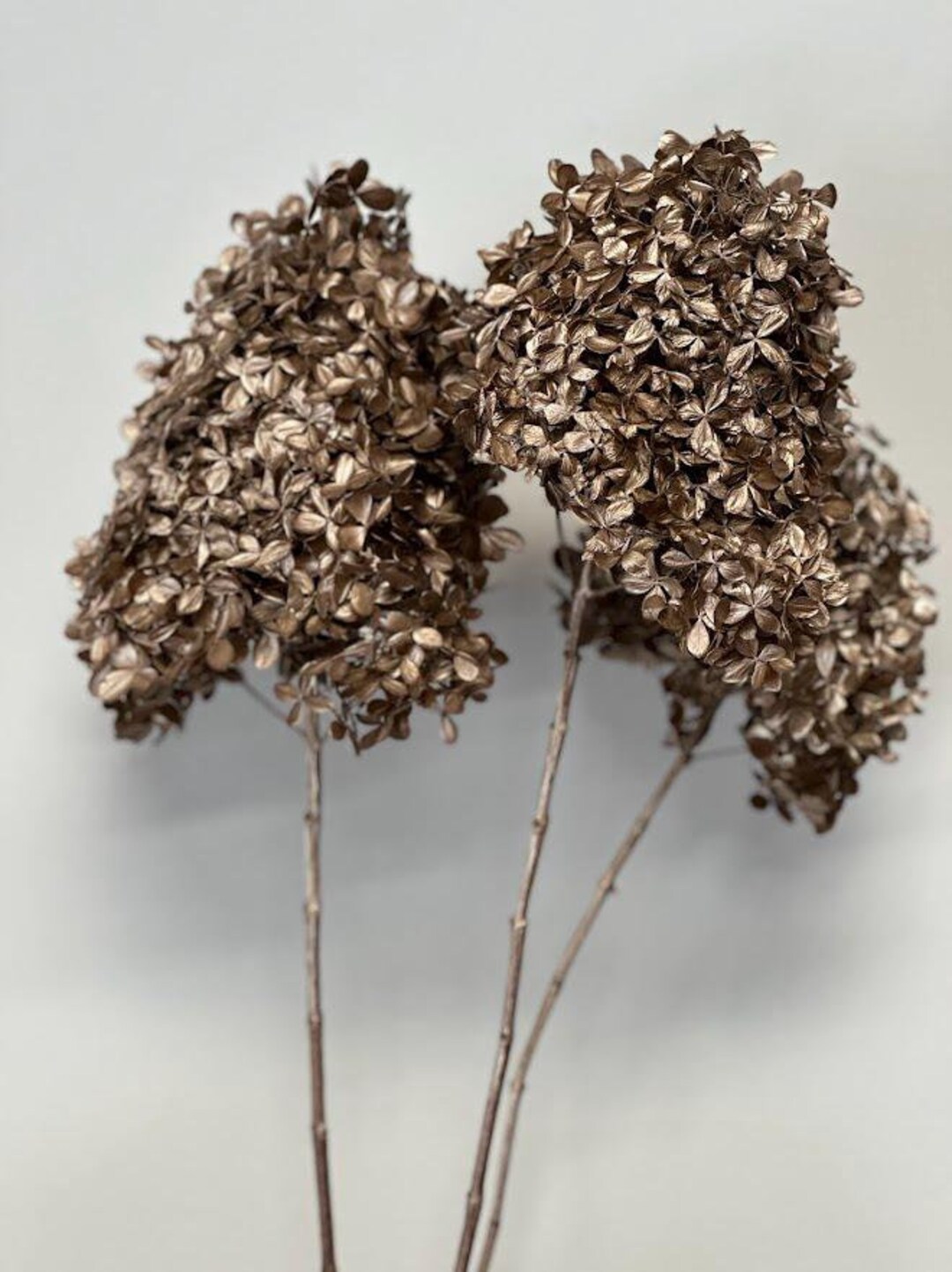 3 BRONZE Hydrangeas - Etsy